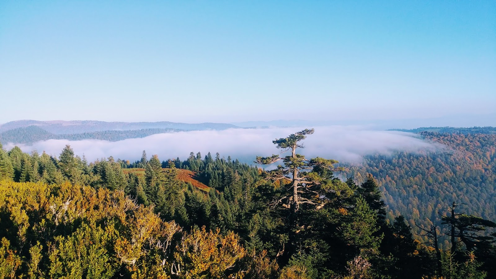 One day trip to Turnalık & Çiğdem & Dikmen plateaus in Turkey