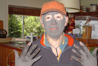 Educational Leadership Project Blog: Robyn Lawrence: a wise, thoughtful ...