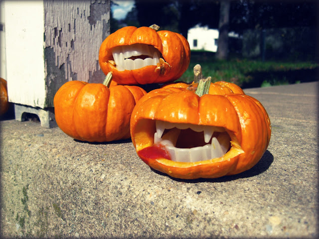 nova by tess ~ the busy life of one crazy swede: an army of angry pumpkins