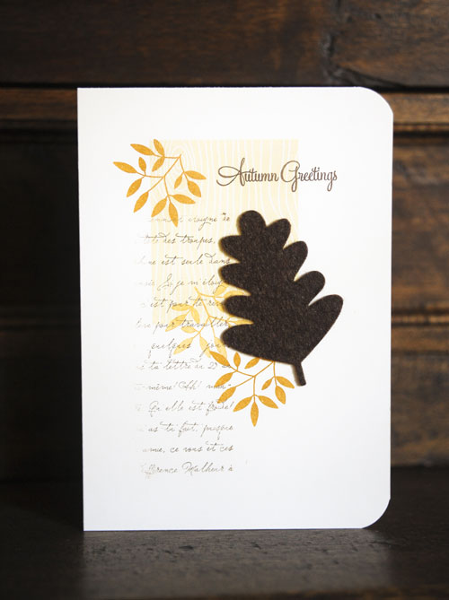 Let's Make A Card!: Amuse Studio Autumn Greetings!