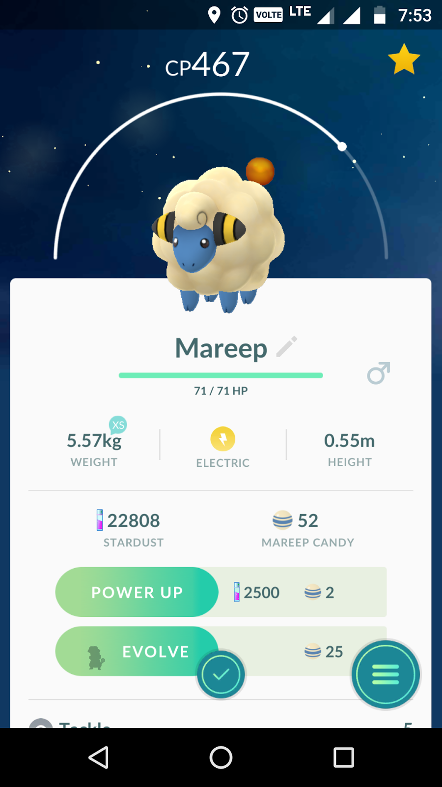 Mareep: Last piece needed to complete the Pokedex puzzle | Splendid ...