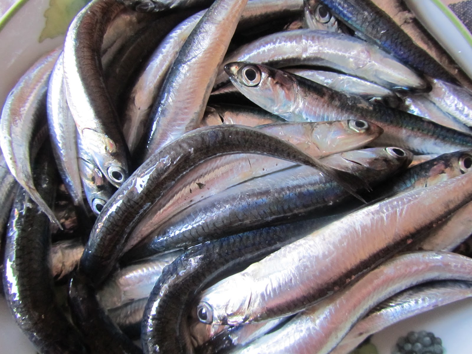 Cooking Therapy: Acciughe marinate alla Ligure.