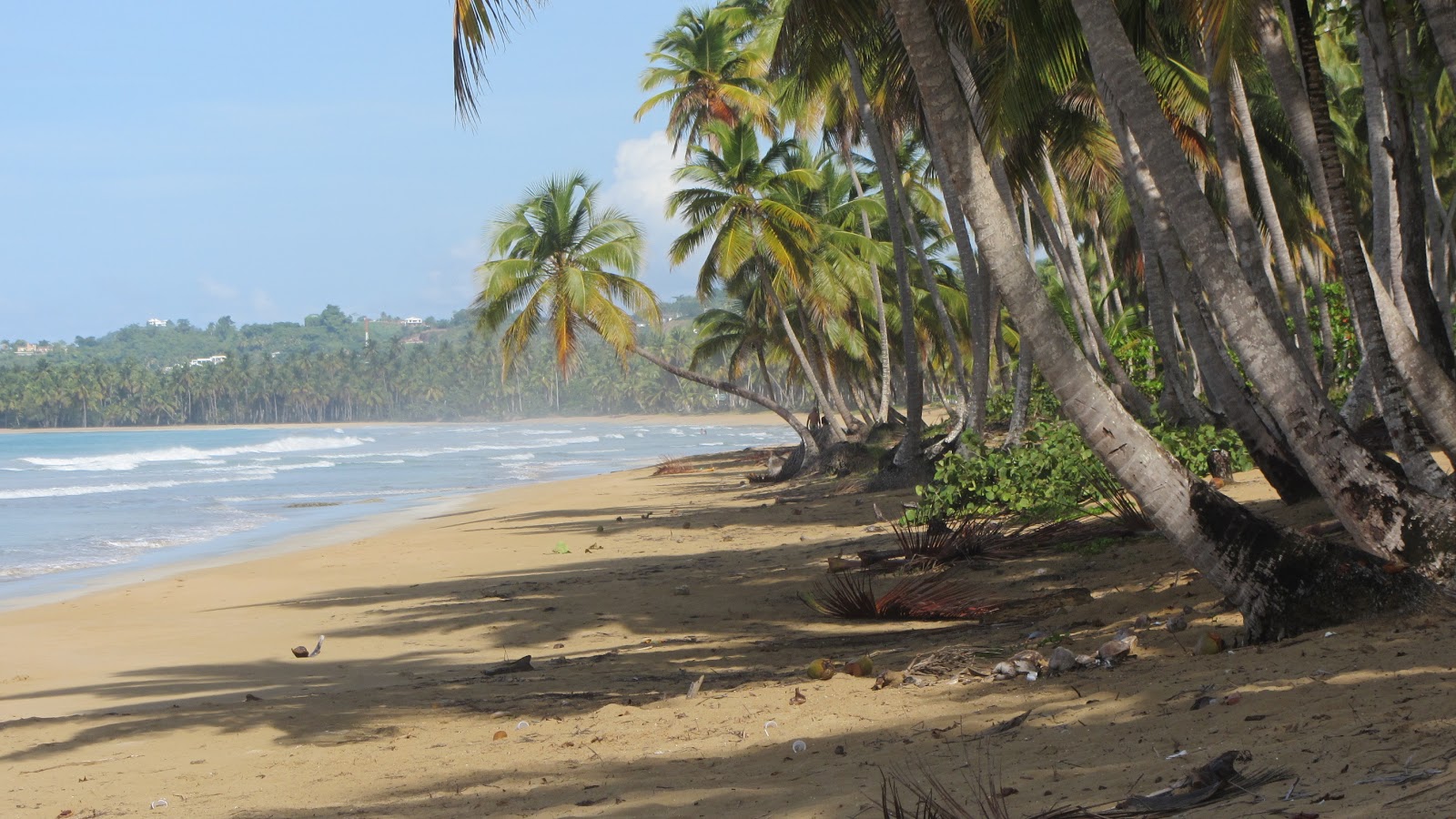 VISITAR, CONOCER Y VIVIR EN REPUBLICA DOMINICANA: PLAYA DE LAS TERRENAS ...