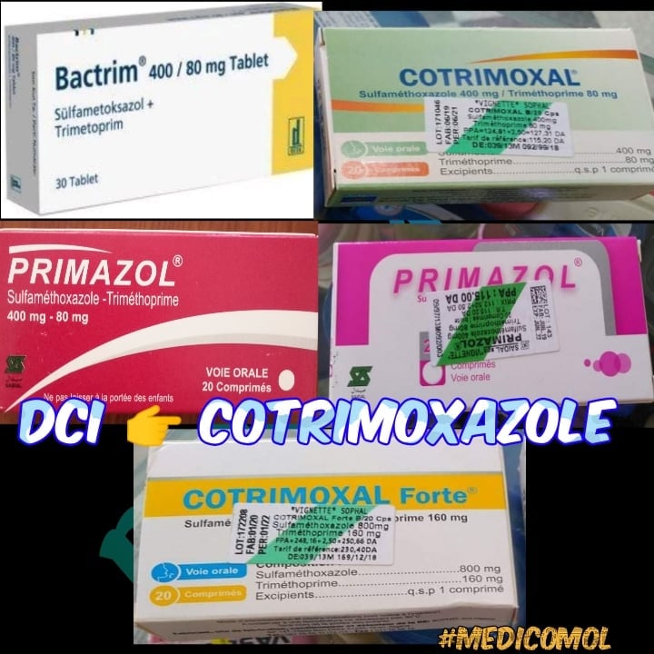 LES ANTIBIOTIQUES ; INHIBITEURS SYNTHETIQUES DE 'ADN - Para Mol