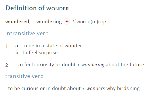 Through the Prism: Pondering and Wondering