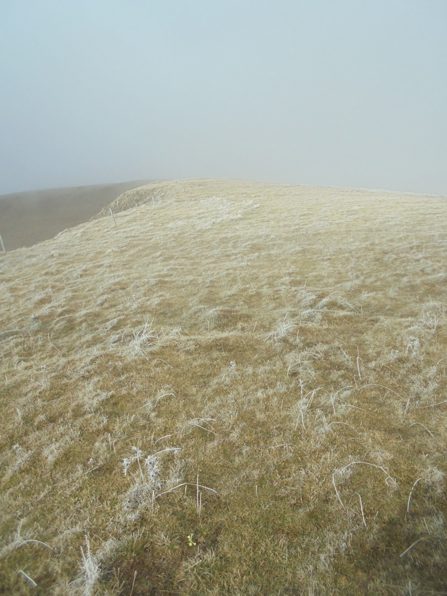 MUNTANYA: Sant Martí d'Ogassa, el Taga, 2040m i el turó de la Portella ...