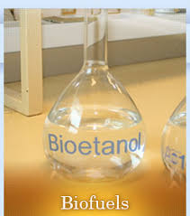 Proses Pembuatan Bioetanol - AGROTEKNO LAB