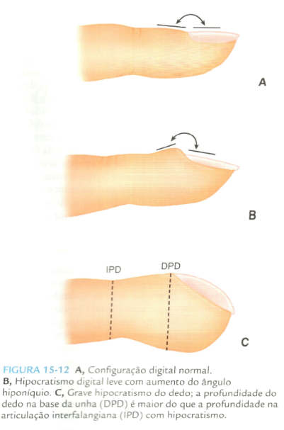 HIPOCRATISMO DIGITAL PDF