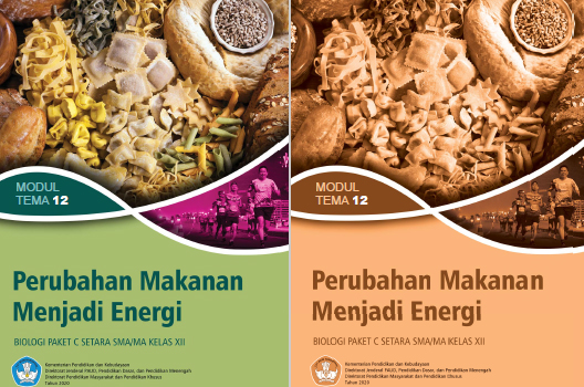 Materi Pelajaran Biologi Paket C Setara SMA/MA Kelas XII Modul Tema 12 ...