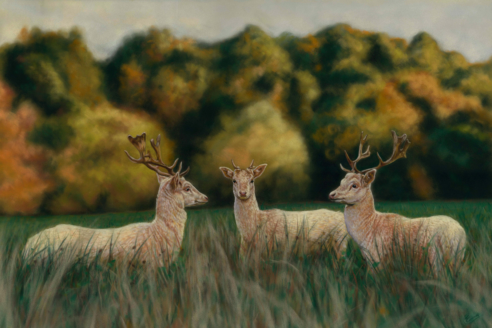Limited Edition Prints - Emma Colbert - Soft Pastel Artist and Tutor
