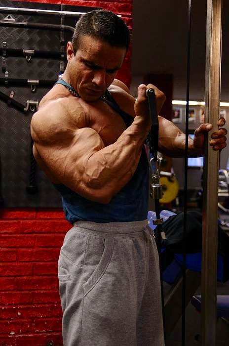 Worldwide Bodybuilders: Swedish champion Keivan Gomanian