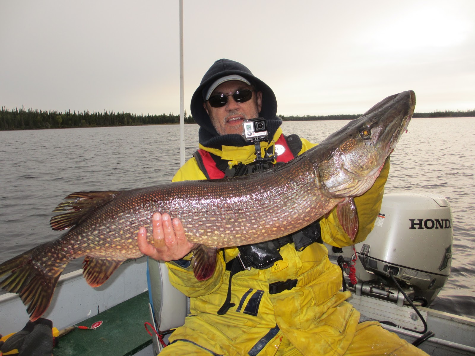 Red Lake Fishing Reports Ontario for Monster Northern Pike and Walleye ...