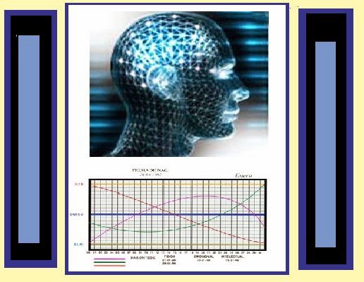 Develando la Salud: El biorritmo y como usarlo