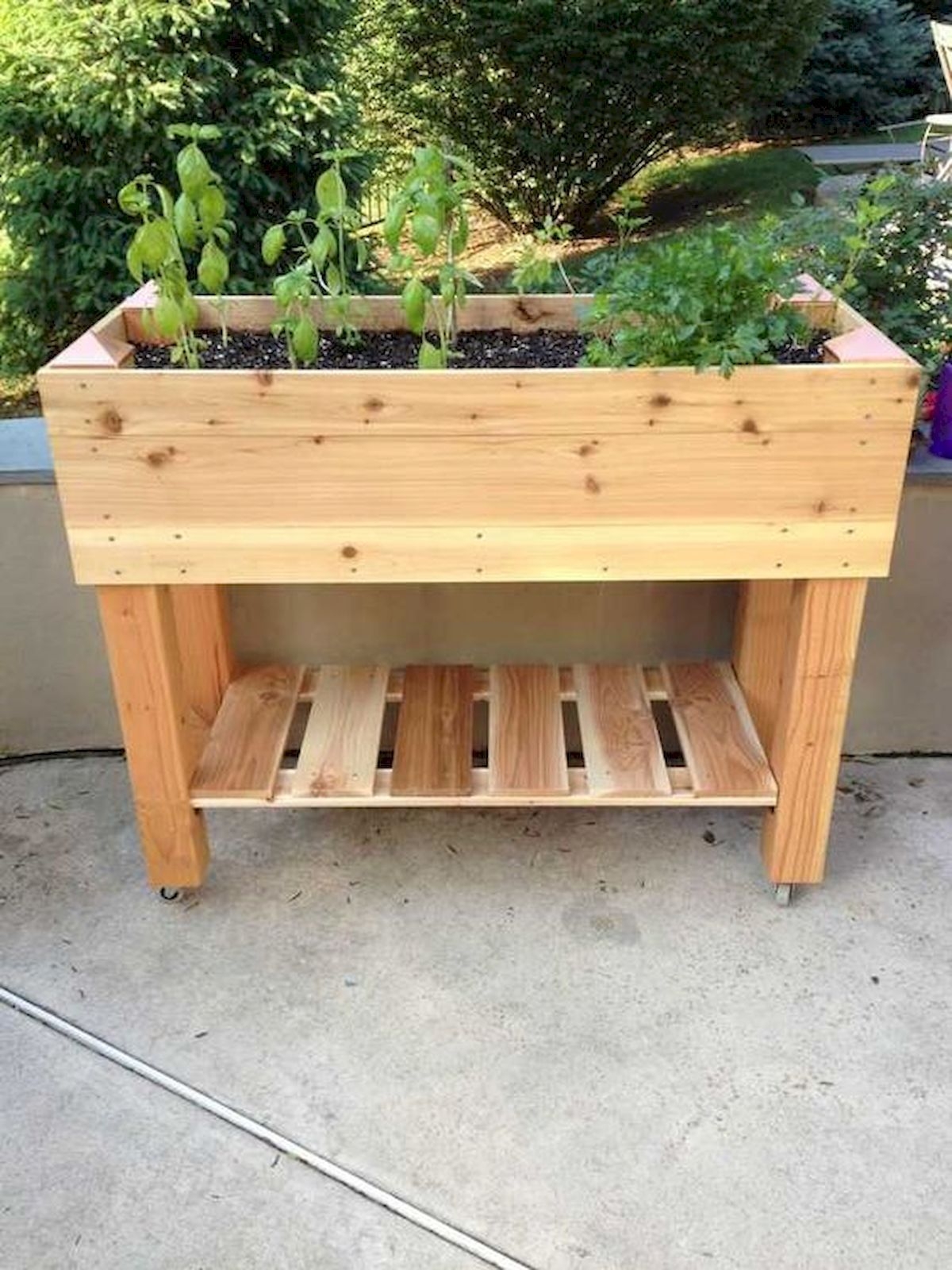45 Simple Garden Boxes Design Ideas On A Budget | ARA HOME