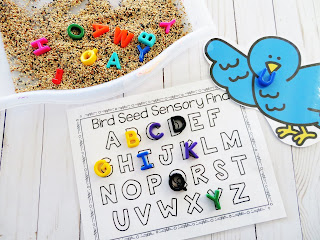 Birds Preschool Theme