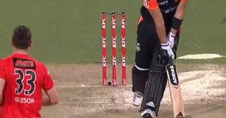 Ballbusting Boys: From the web: This poor cricketer got hit in the nuts ...