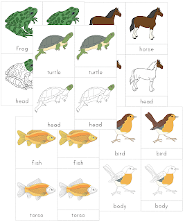 The Helpful Garden: Montessori Zoology - Classes of Vertebrates ...