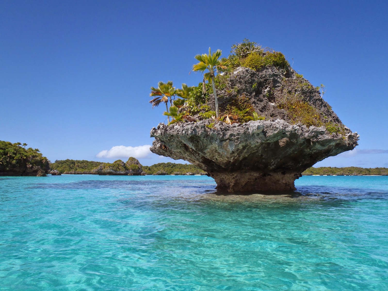 Ocean Echo 1: Lau Islands, Fiji - 2014