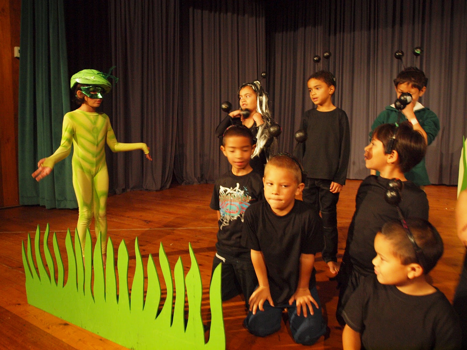 Helen O'Grady Drama Academy Grade 1 Production of 'The Grasshopper and ...