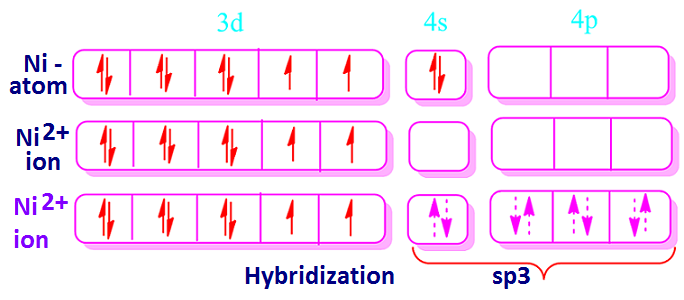 Why Ni+2 paramagnetic whereas Zn+2 diamagnetic? - PG.CHEMEASY