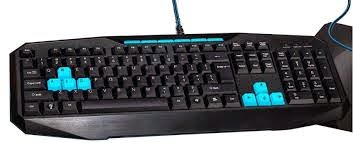 TurkExim Konşimento Veritabanı: turkish computer keyboard importers