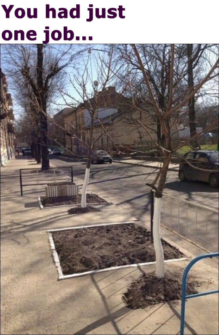 Chuck's Fun Page 2: Seriously, Dude - you had just one job: 30 images