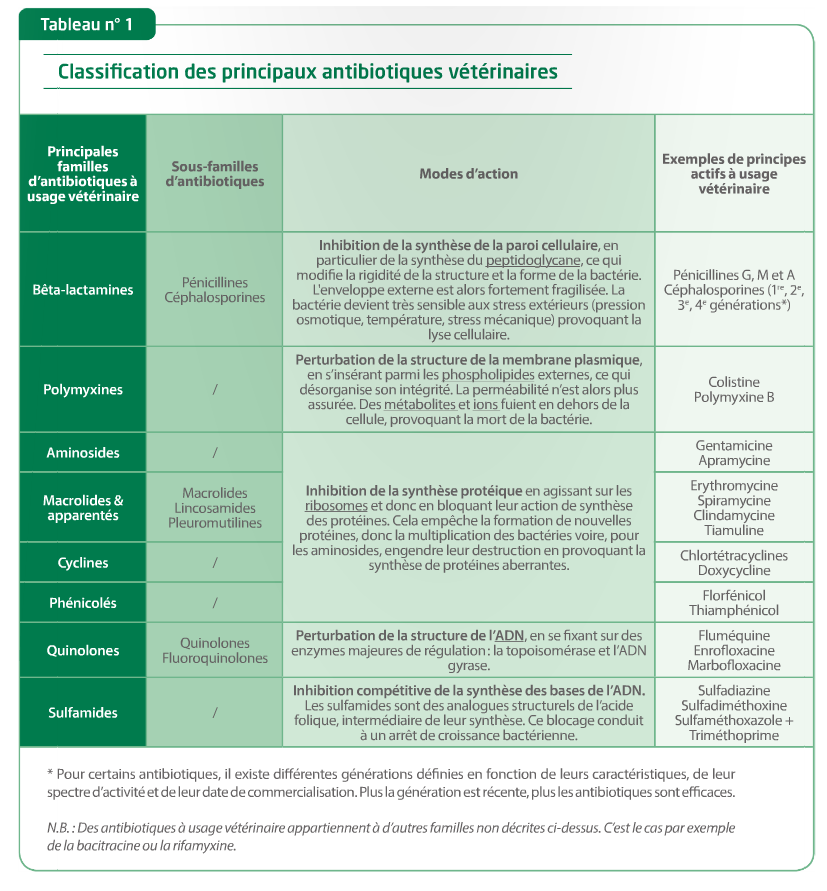 classification des principaux antibiotiques vétérinaires