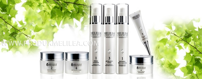 Etalase Online Murah