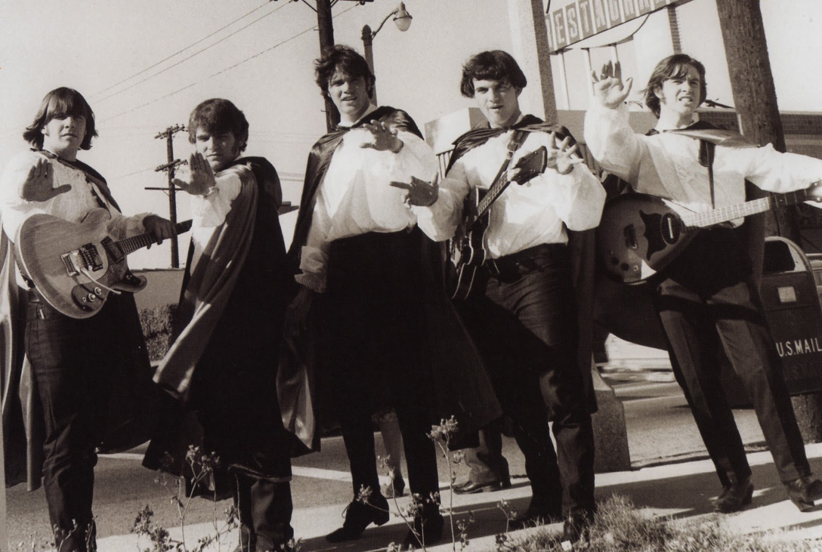 Forestdweller: The Count Five