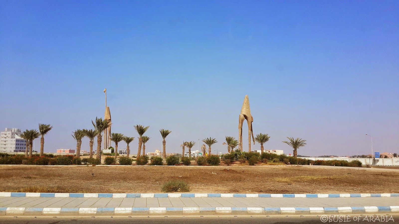 Jeddah Daily Photo: Jeddah: Camel Sculpture