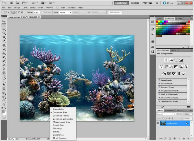Photoshop HighSchool: SETTING UP THE STATUS BAR