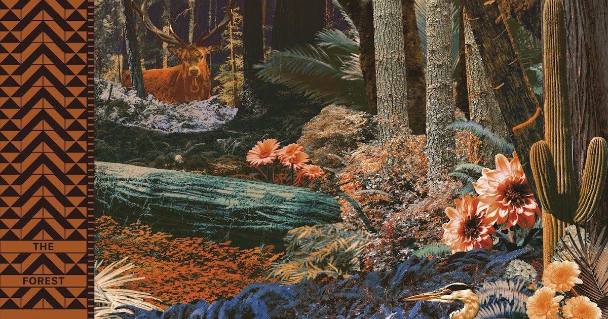 SPACE DEER: DEBUT 'THE FOREST'