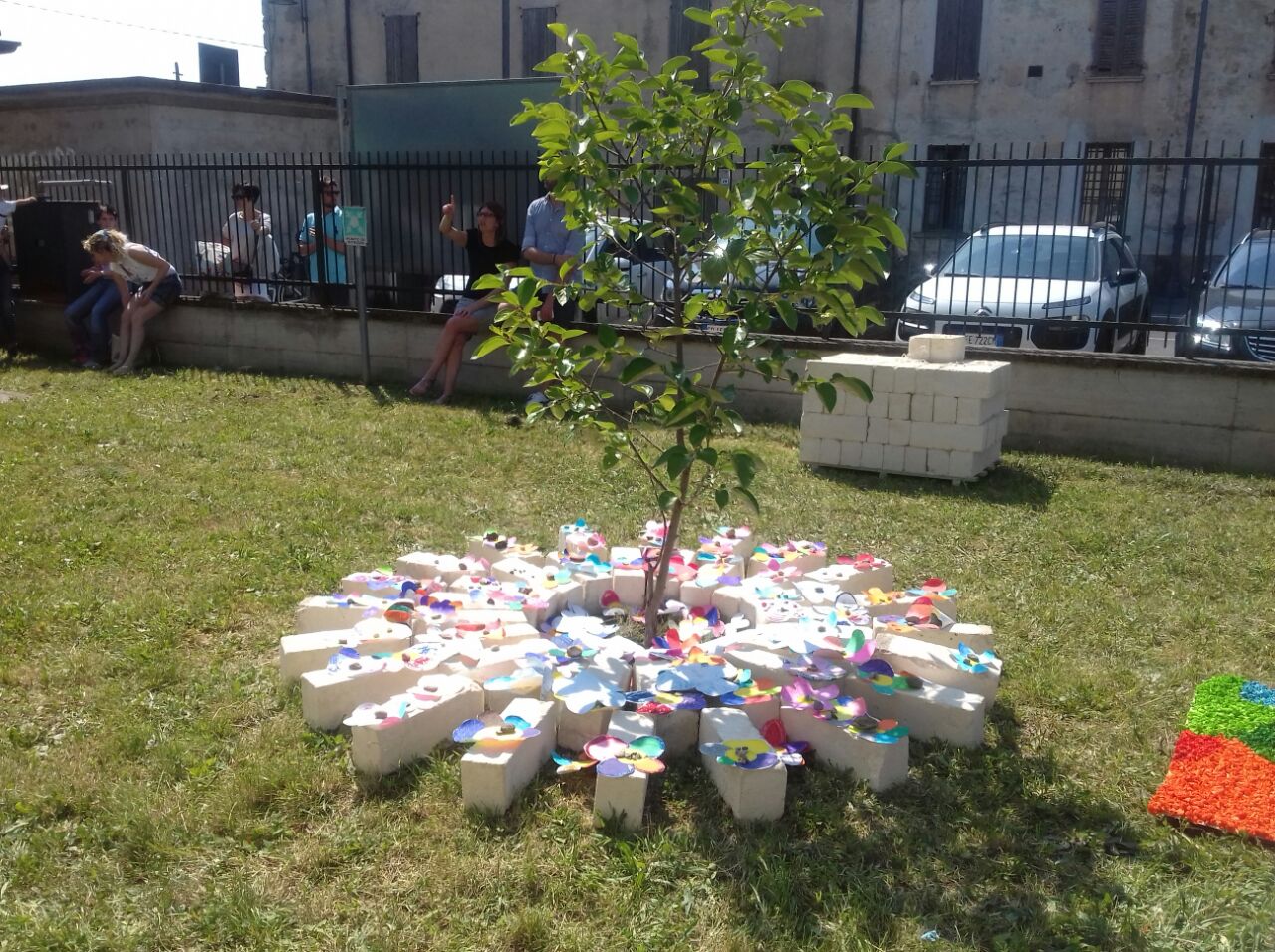 PIRATA BARBARICCIA: Kaki tree project