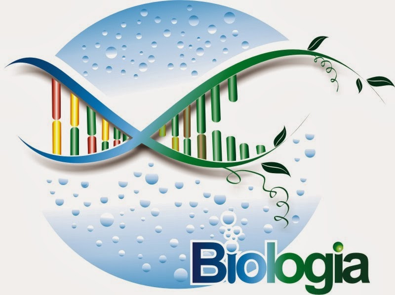 Brasil Estuda : Biologia