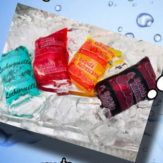 ¿QUÉ ES LA LECHUGILLA?