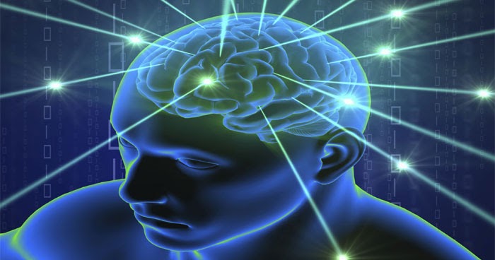 Dr. Curtis Cripe Blogs: Understanding The Complexity Of The Human Brain