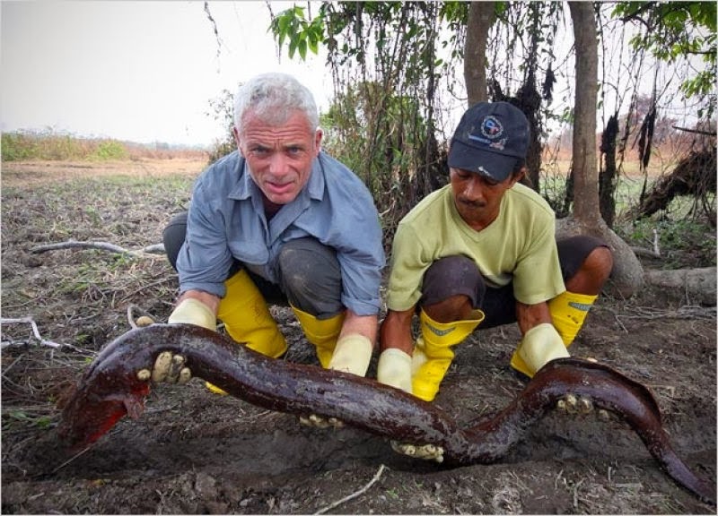 JORNAL R 7ª: Monstros do Rio com Jeremy Wade.