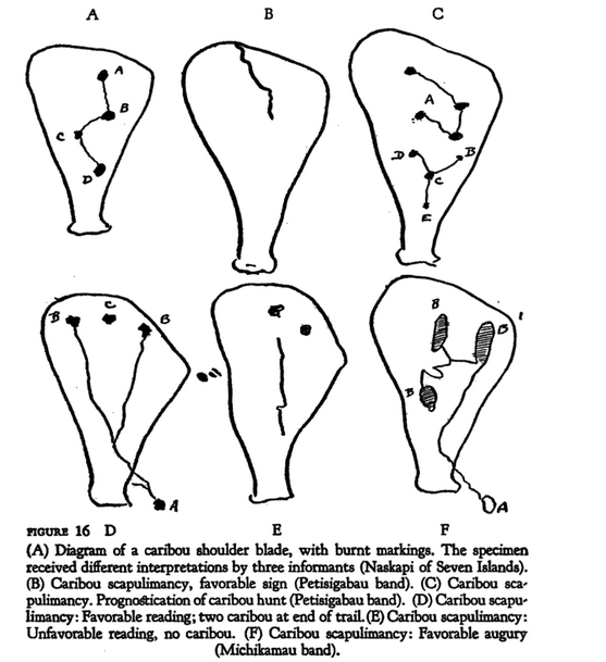 Flying the Hedge: Bone Magic Series: Bones and Skulls: How to Use Them ...