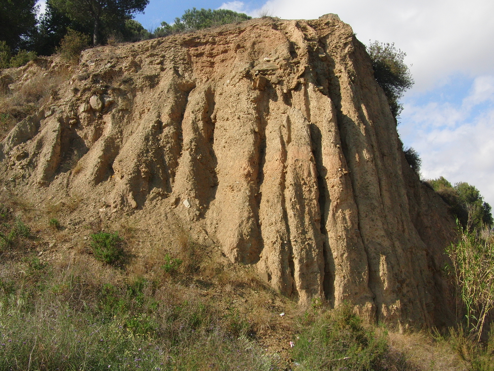 Bloc de camp: Geologia de km 0: la gravera abandonada de Can Boada ...