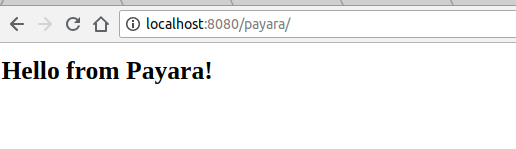 Ejecutar payara micro desde NetBeans