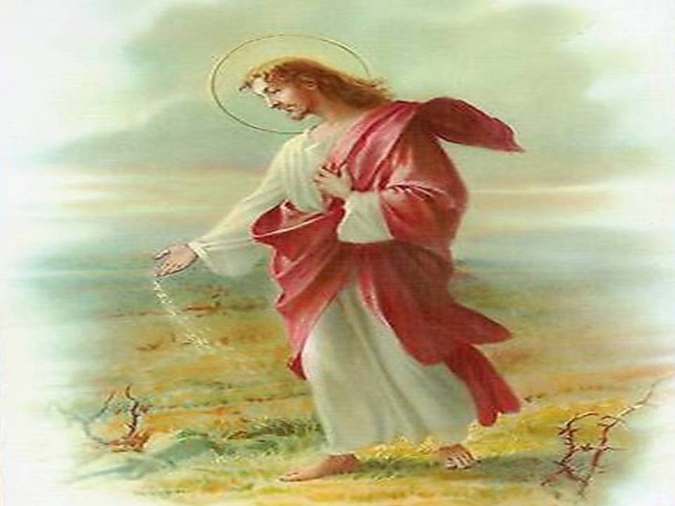 Matthew 13 12 Interpretation