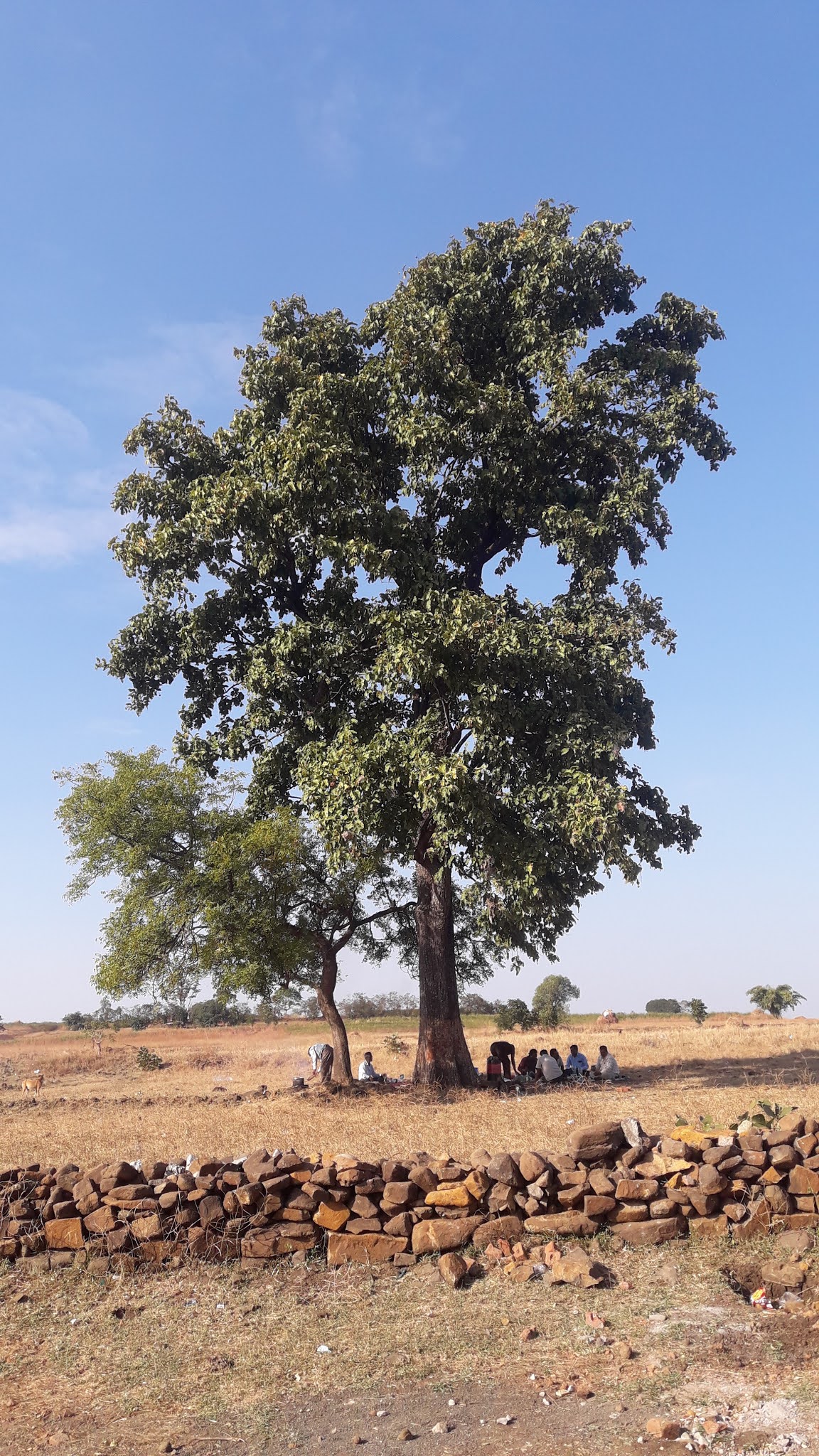 Kukdi Khapa WaterFall Chhindwara Madhya Pradesh