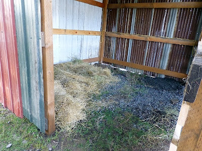 Rural Revolution: Building a bull shed annex