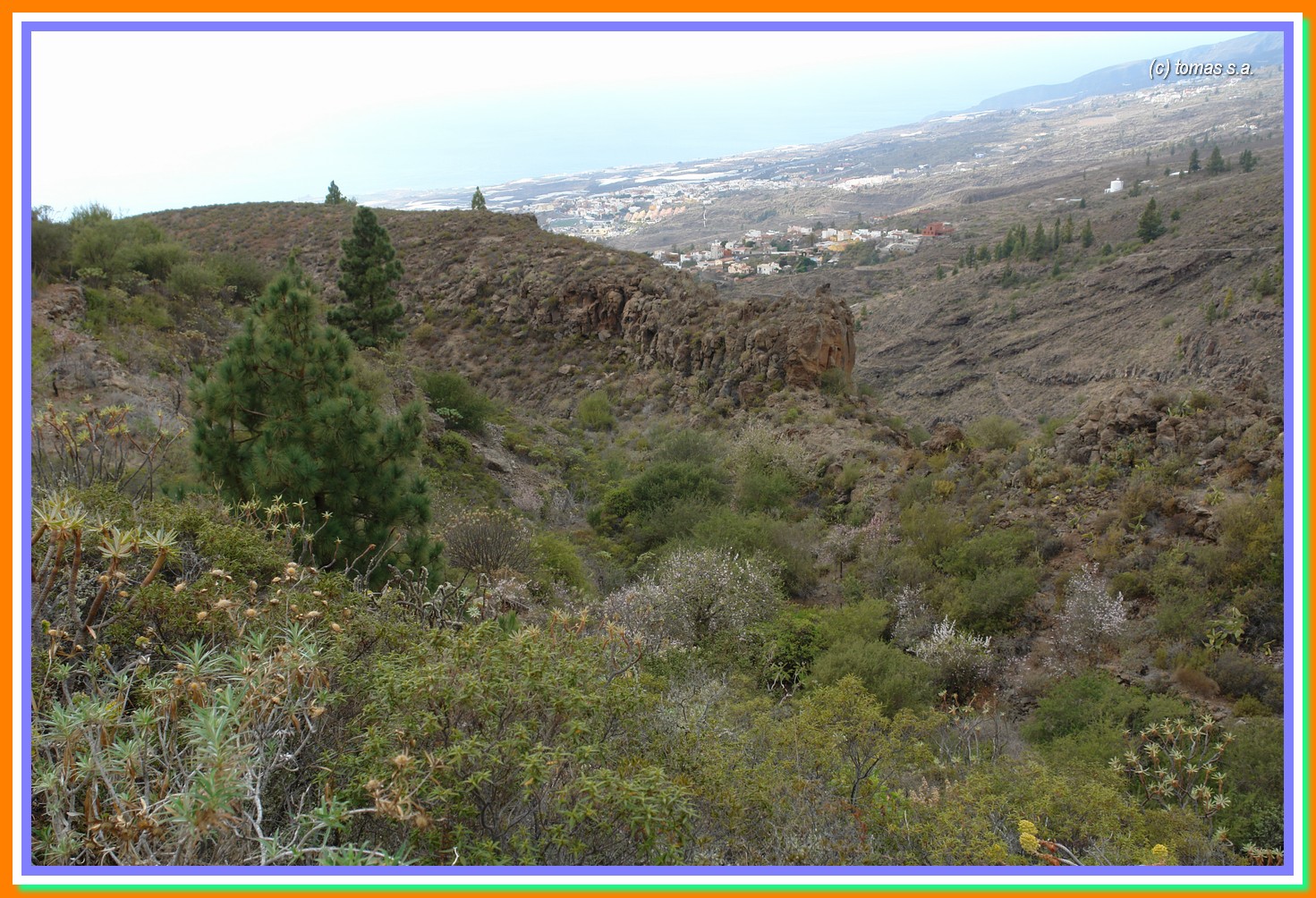 Tenerife senderos......: TENERIFE SENDEROS --GUIA ISORA-- EL JARAL -LAS ...