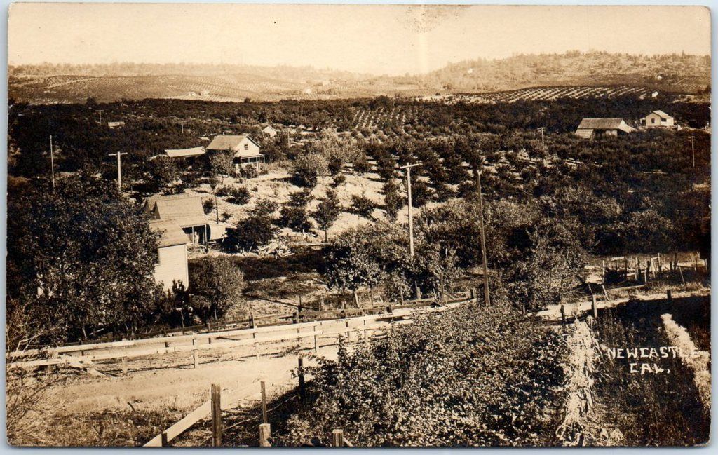 gold country girls: Lounge Chair Road Trip No. 18: Newcastle, California