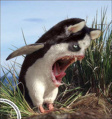 Outback Snack Australia: Bunyips