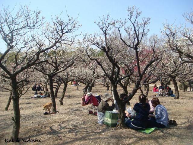 Our Adventures in Japan: kibun tenkan