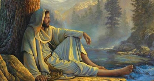 Follajes de Altura: El reposo y la revelación.