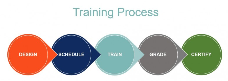 Training and Development: Training Process