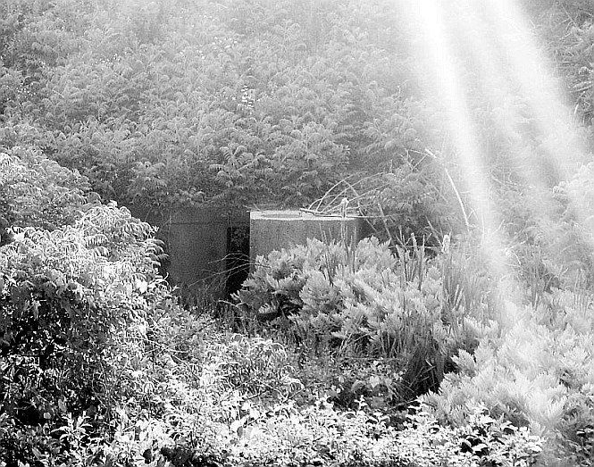 Remembering Danvers: Cow Tunnel